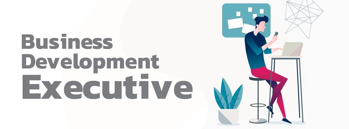 Business Development Executive - Roles & Duties